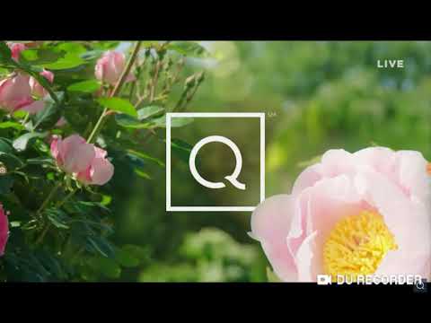 QVC - YouTube