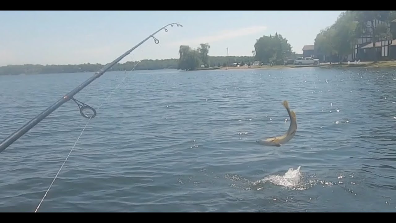 The Best Fishing Moments of 2023 - YouTube