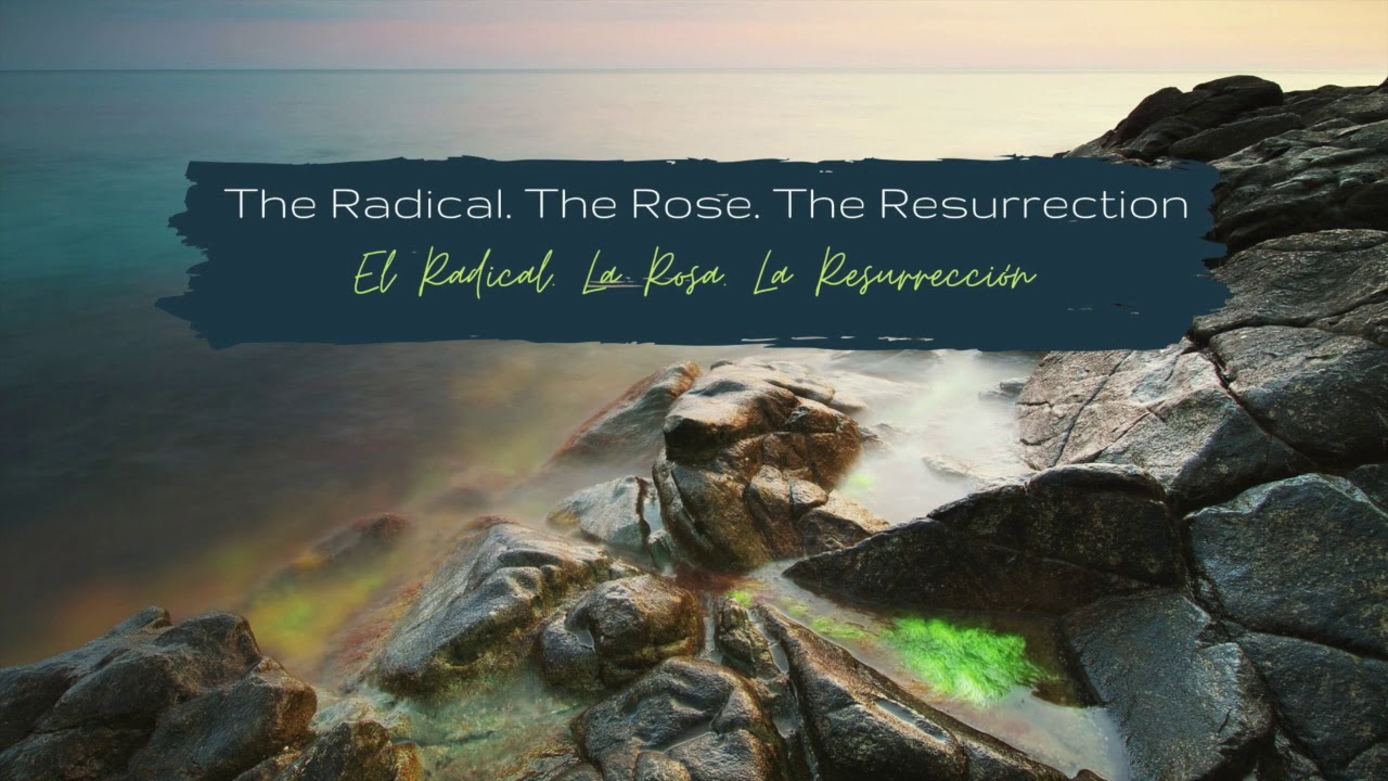 The Radical. The Rose. The Resurrection - YouTube