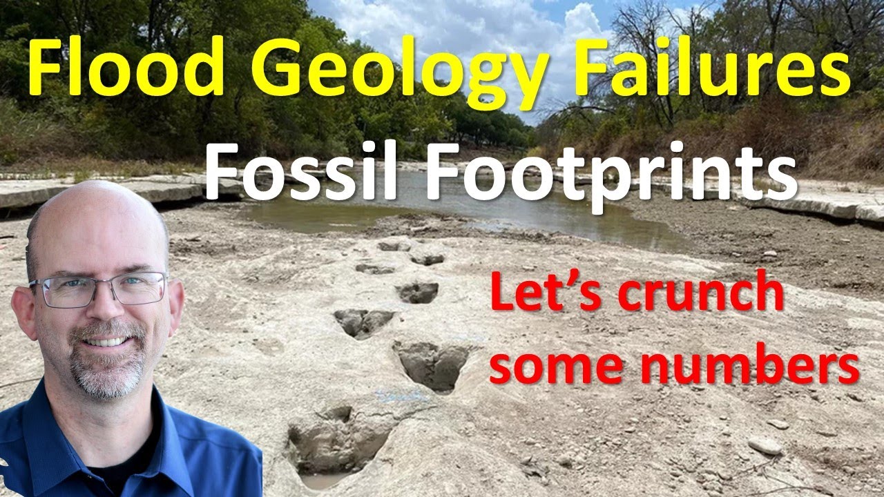 Flood Geology Failures: Too Many Fossil Footprints for a Global Flood ...