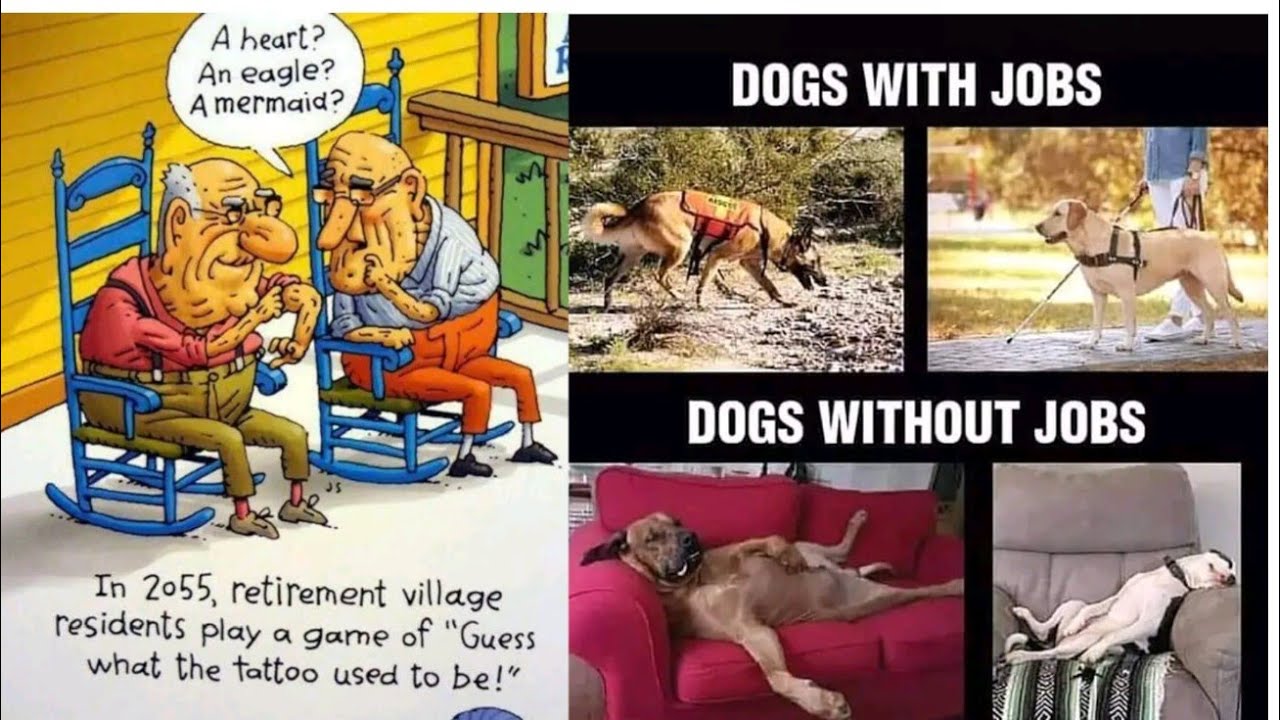 "The Ultimate Compilation of Funny Pictures and Memes" - YouTube