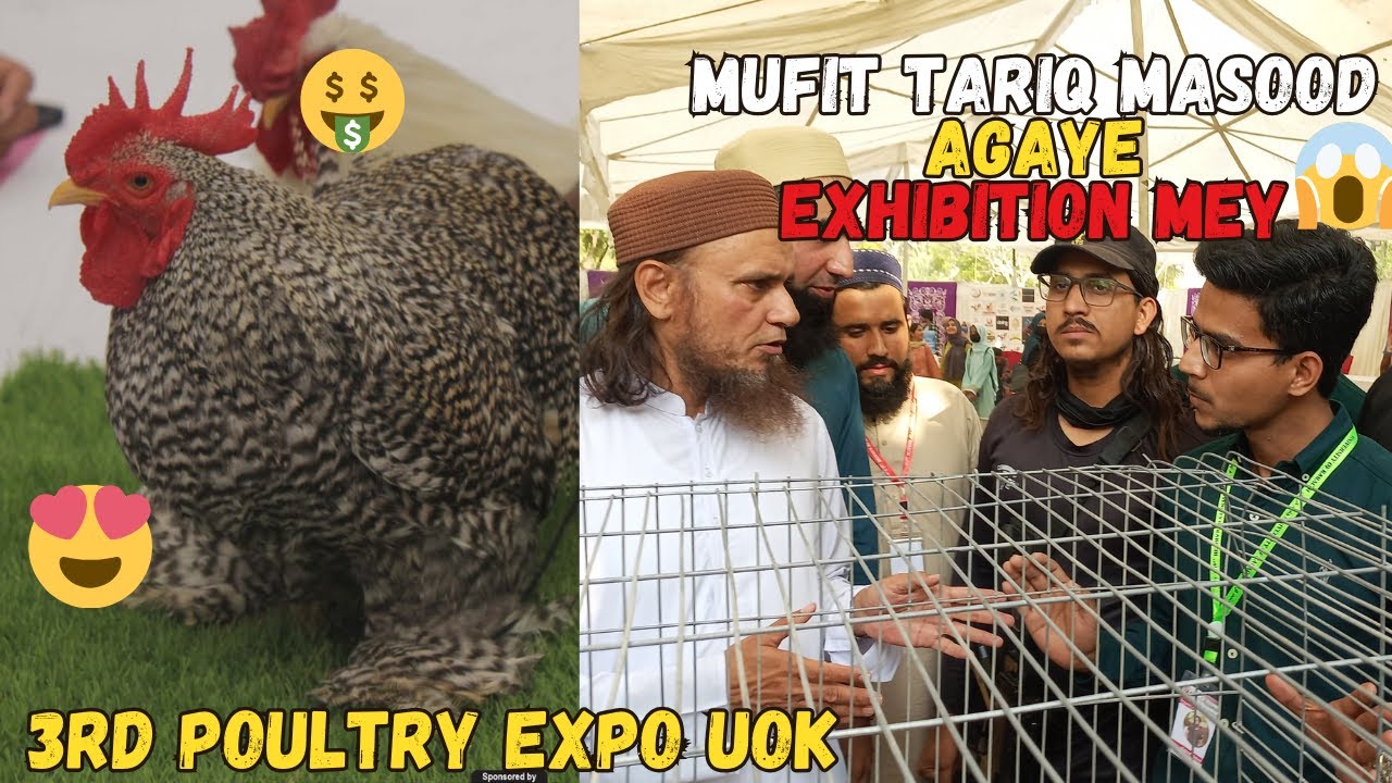 3rd Poultry Expo University of Karachi Detail Vlog ️|Mufti Tariq Masood ...
