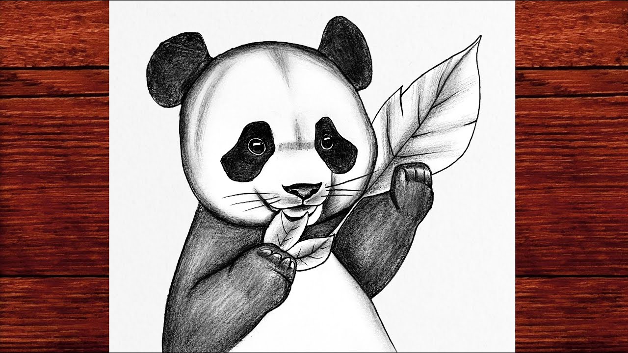 Adım Adım Karakalem Kolay Panda Nasıl Çizilir - Sevimli Bir Panda Resmi ...