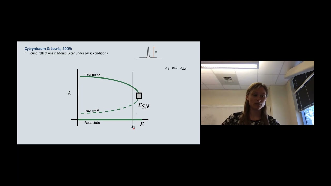 Stephanie Dodson: One-dimensional spiral waves and reflection-induced ...
