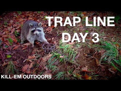 Trap Line Day 3 - YouTube