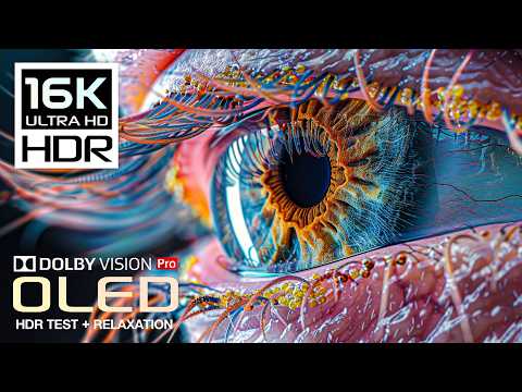 Unseen 16K Video OLED TEST | Dolby Vision 16K HDR 60fps (8K/4K Video TV)