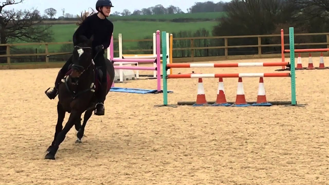 Basil - Lesson with Barrett Watson - YouTube