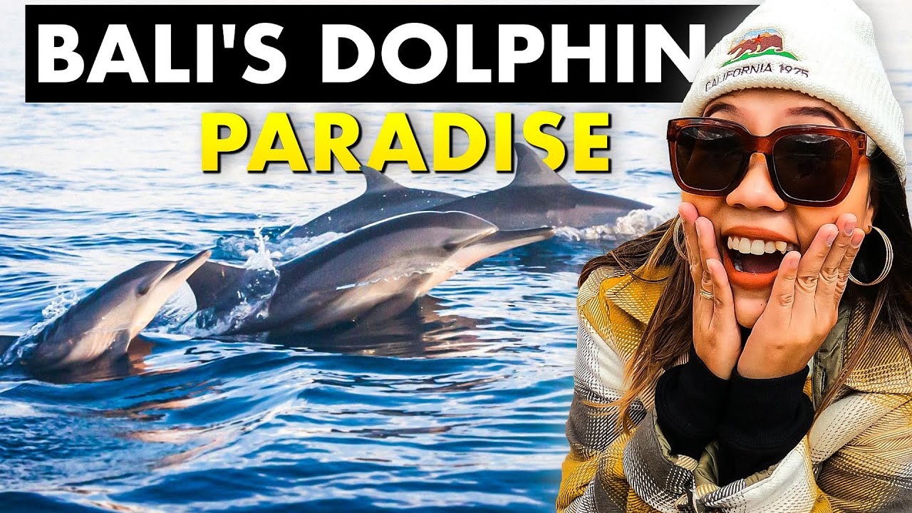 Swimming with dolphins in Lovina Bali: Bali's BEST kept secret - YouTube