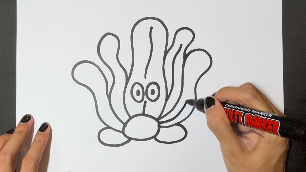 How to draw a Seaweed | Sea Animal | Easy funny drawings of cartoons ...