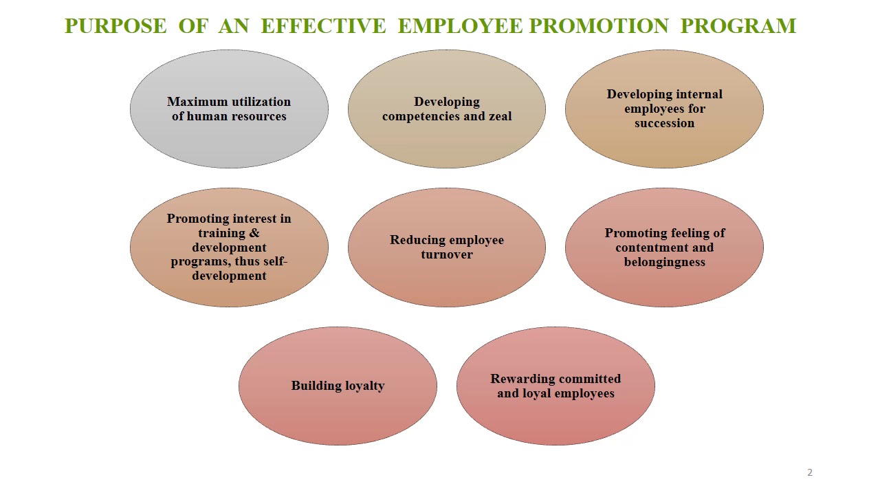 HR BASICS-EMPLOYEE PROMOTION - YouTube