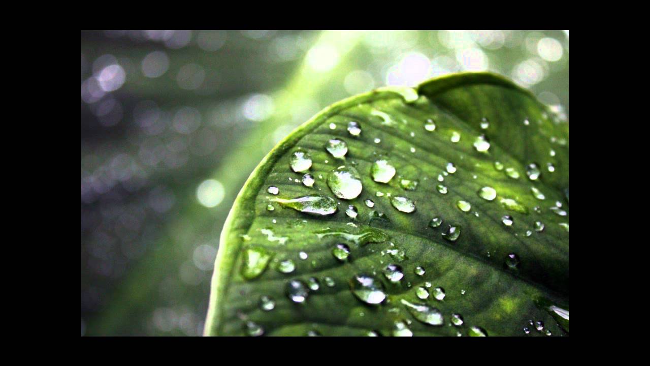 Tafubar / Rondò Romano / Redlounge Orchestra Epic Mix - YouTube