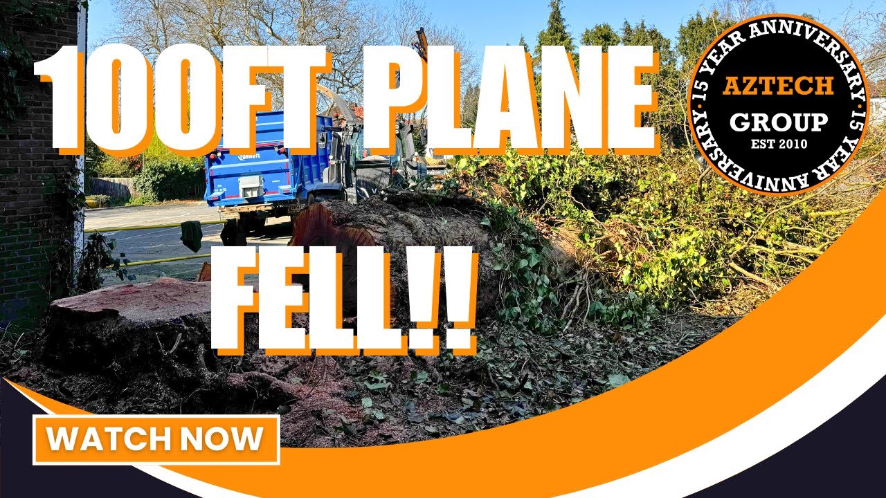 Aztech Group - Ep53: Can we fell this MASSIVE 100FT London Plane tree safely into car park ...