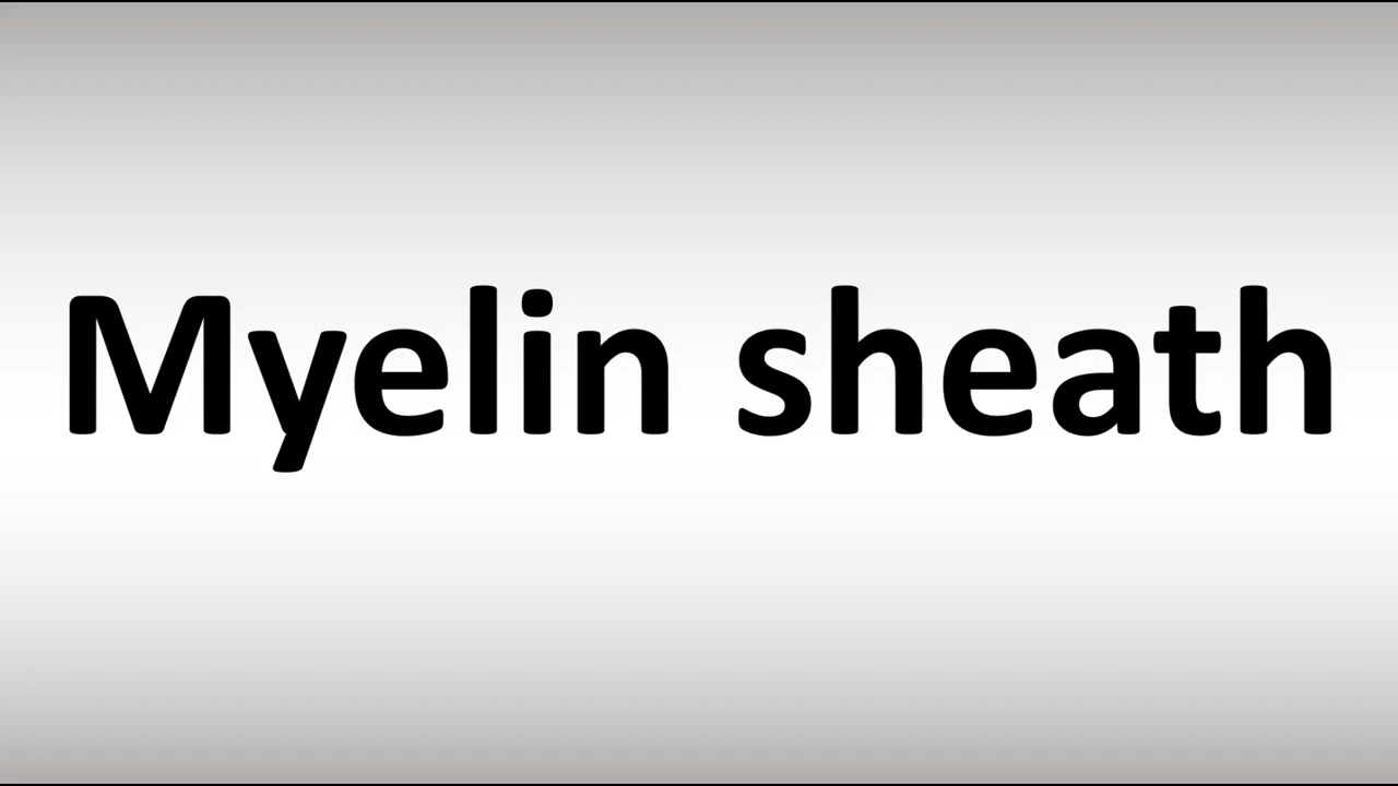 How to Pronounce Myelin sheath - YouTube