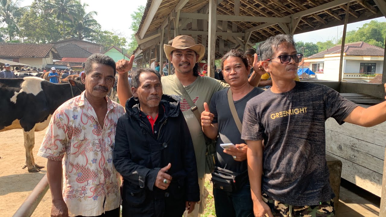 4 Ekor sapi di borong ke wleri - YouTube