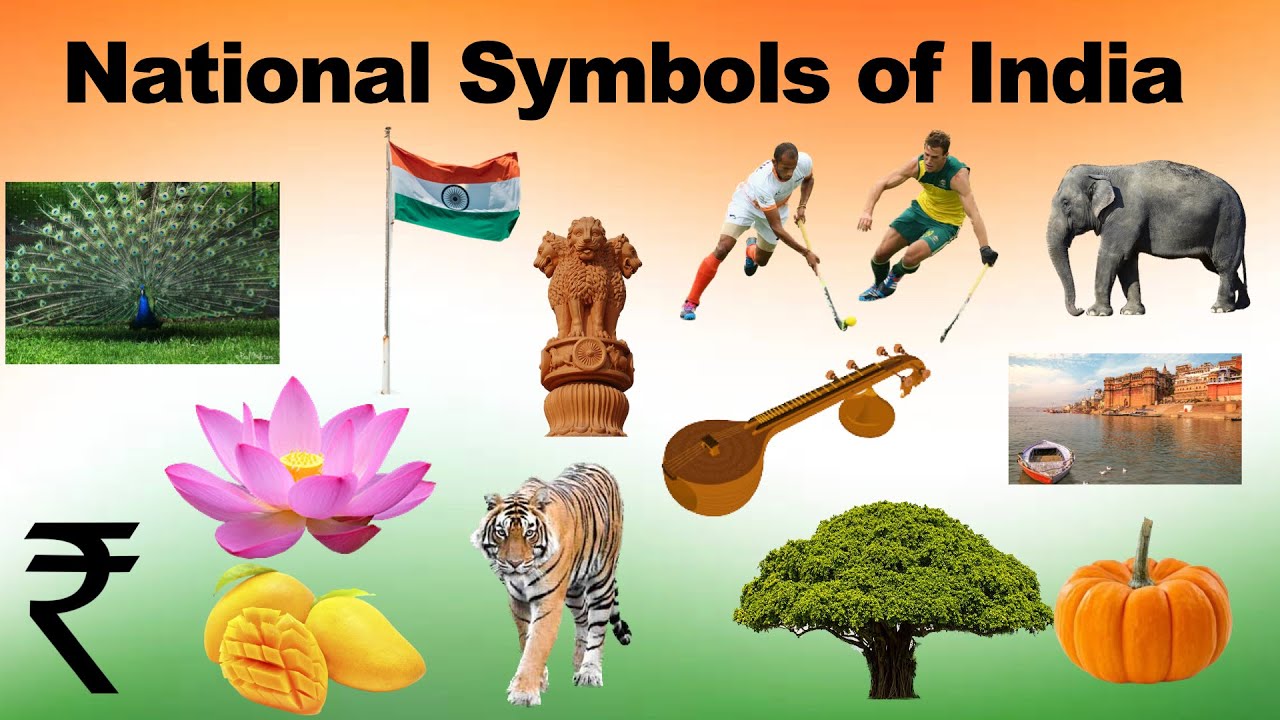 National Symbols of India | National Symbols for kids in English ...