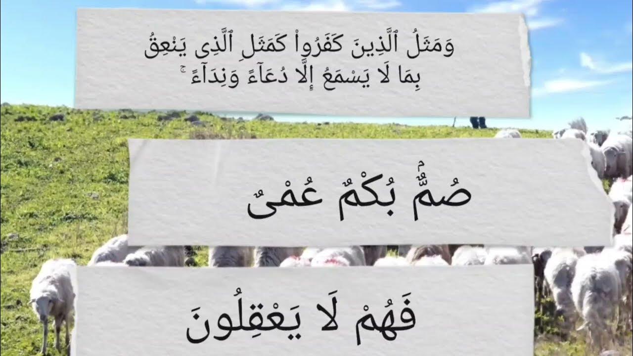 تفسير سورة البقرة ١٧١ ومثل الذين كفروا كمثل الذي ينعق بما لا يسمع إلا