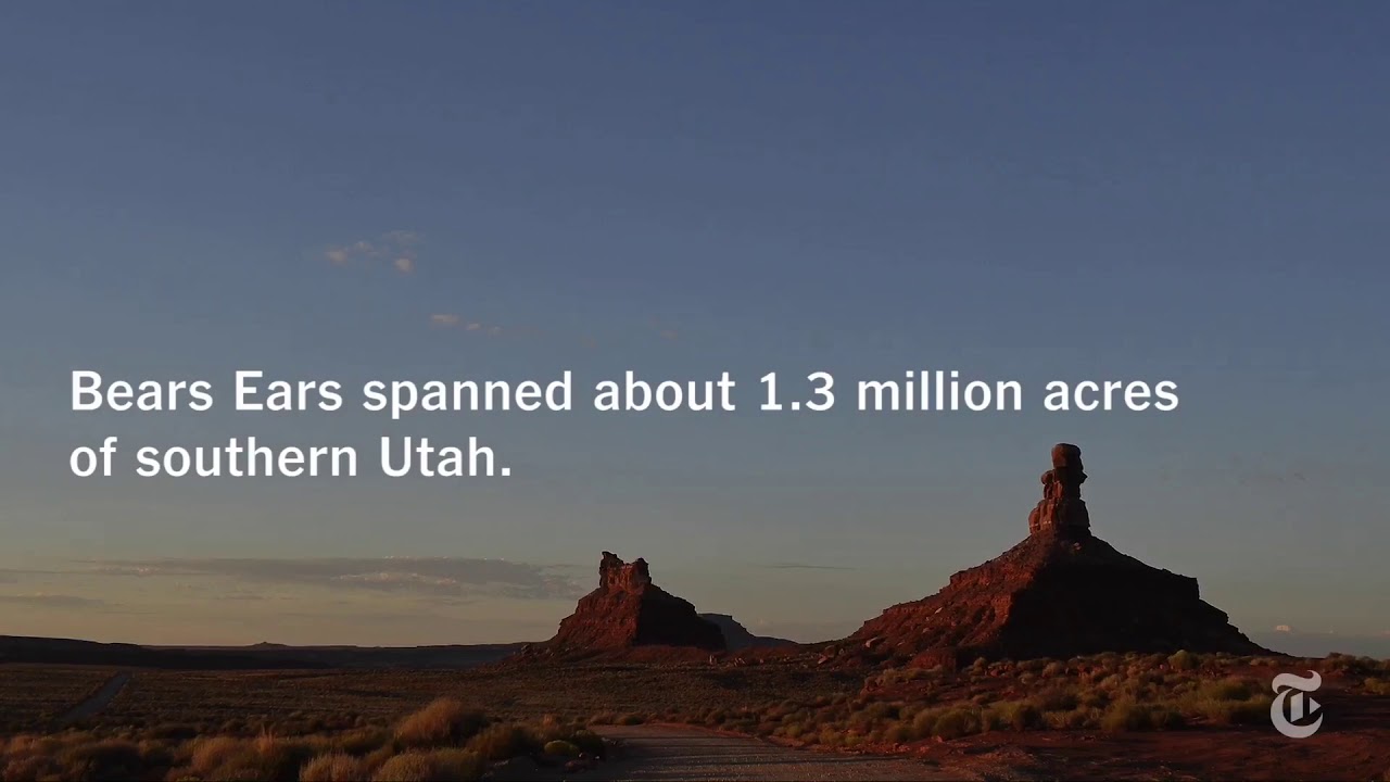 Giant silica trees are where your gems came from - YouTube