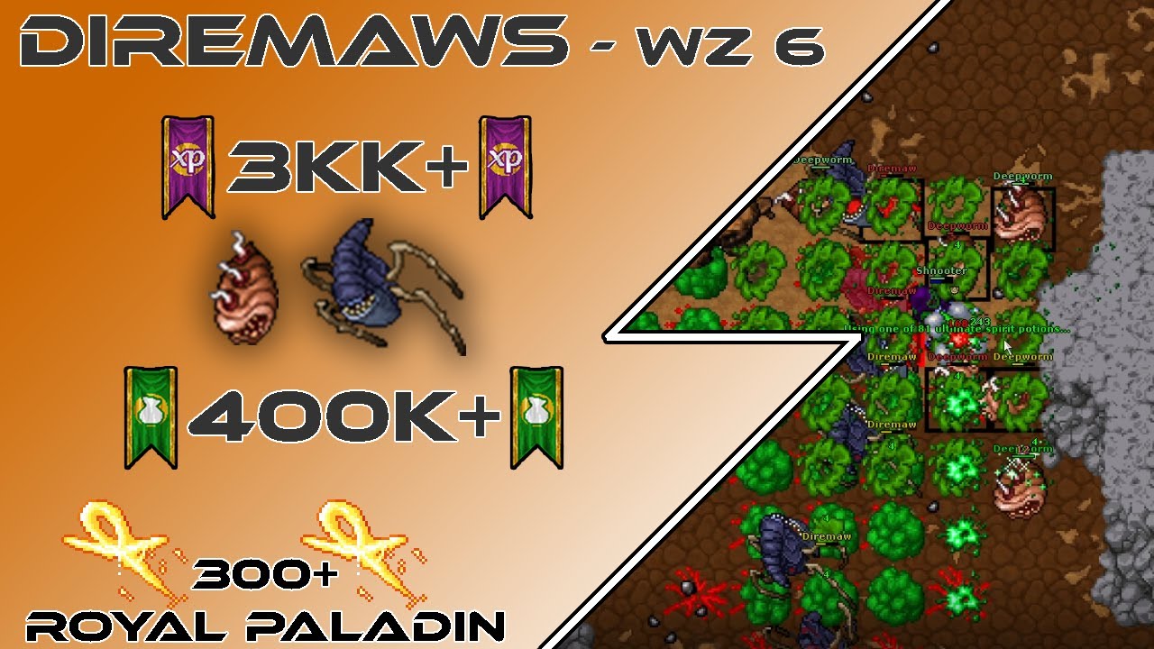 [Tibia Hunting Guide] 300+ RP - Diremaws Warzone 6 - YouTube