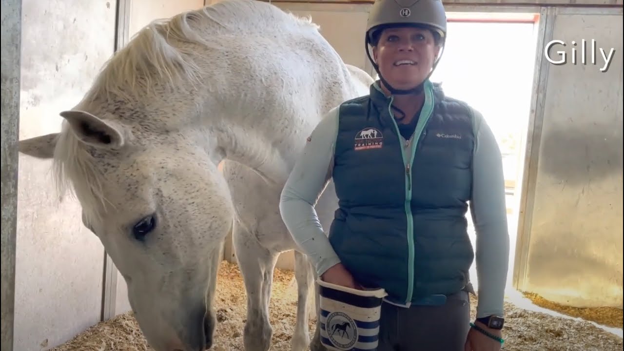 Clicker Training with Horses - What's In Your Container - YouTube