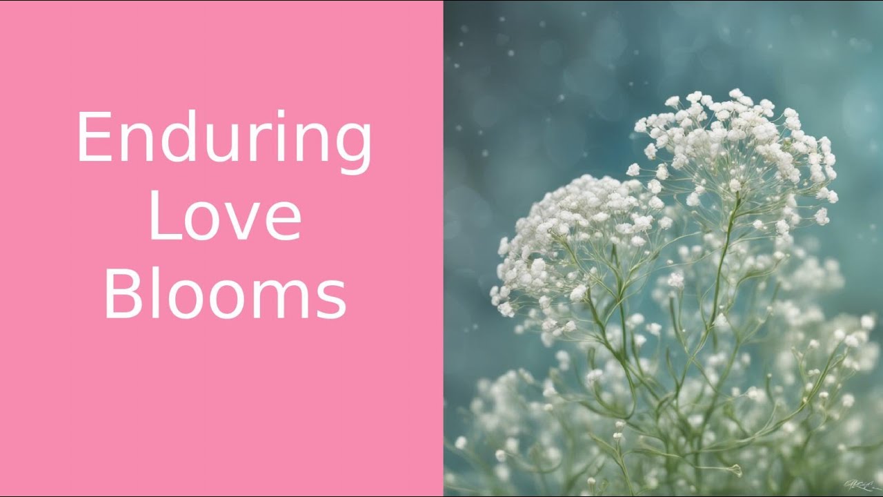 Blooming Love: The Baby's Breath Story - YouTube