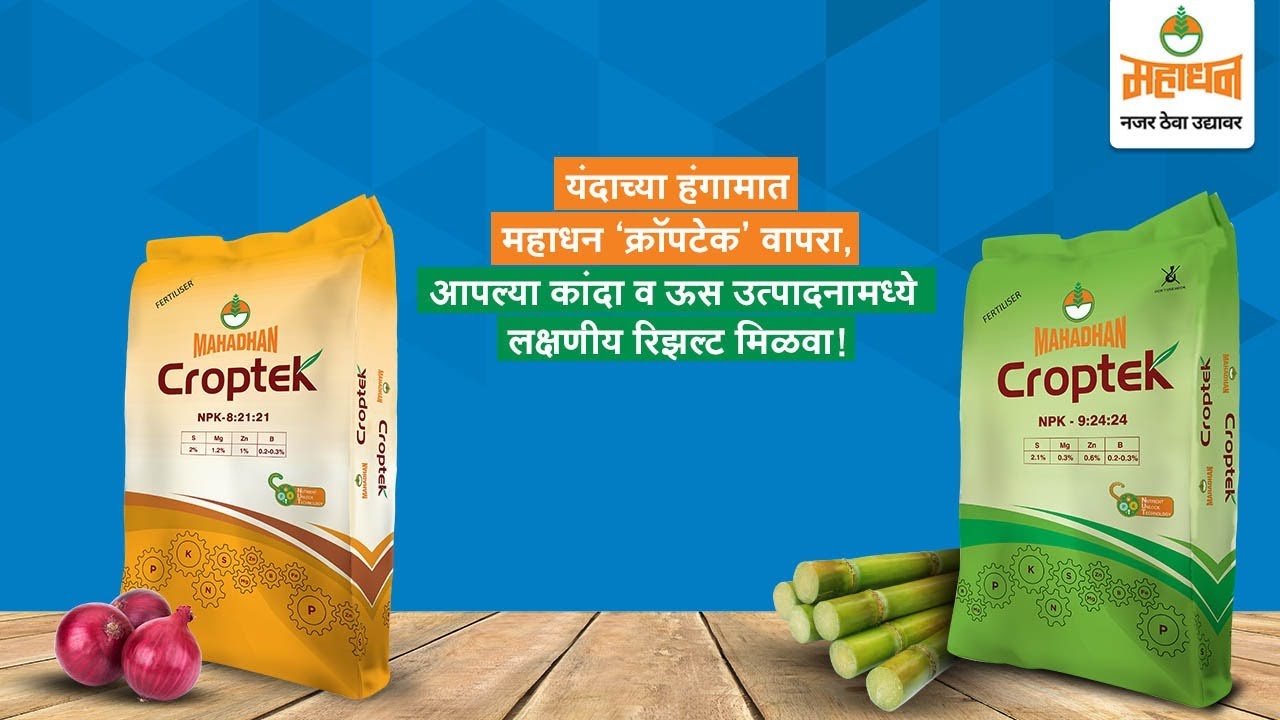महाराष्ट्रातील समृद्ध शेती | Croptek Cotton| Mahadhan Fertilizers |High Yield |कांदा | ऊस - YouTube