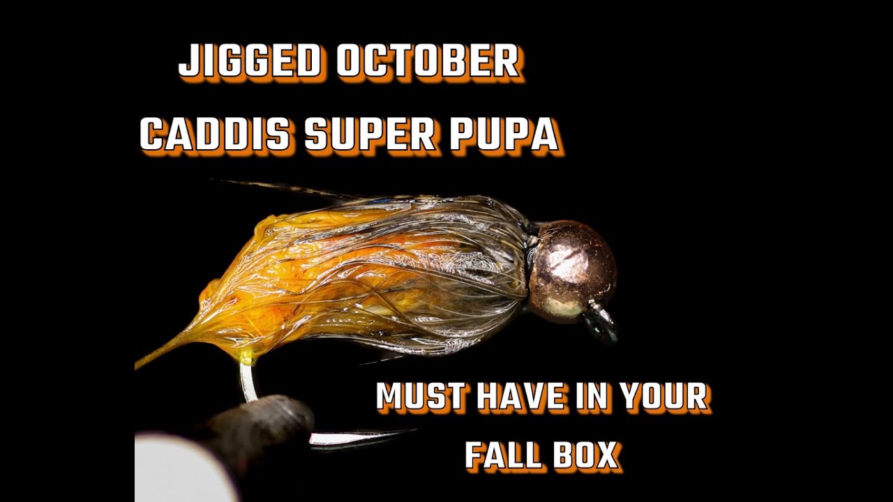 Simon's Jigged October Caddis Super Pupa: Must Have Jigged Fall Nymph ...
