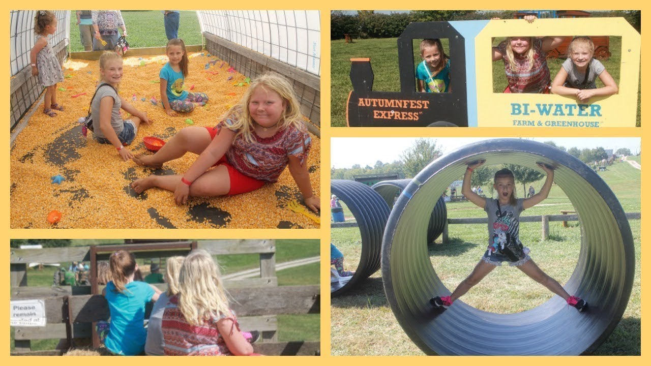 Fall Activities! Corn Maze, Farm Animal Petting Zoo, Farm Playground ...