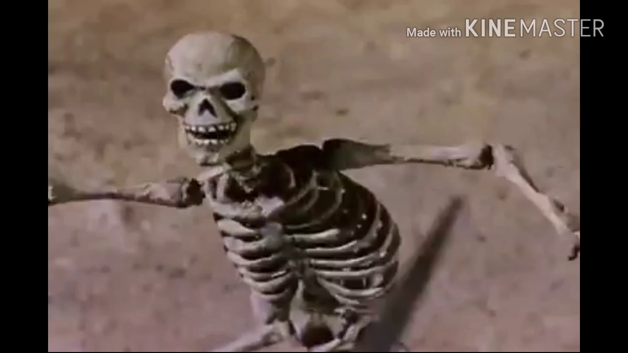 Calacas Chidas Vs Troy Boys con la cancion de Shuerk - YouTube Music