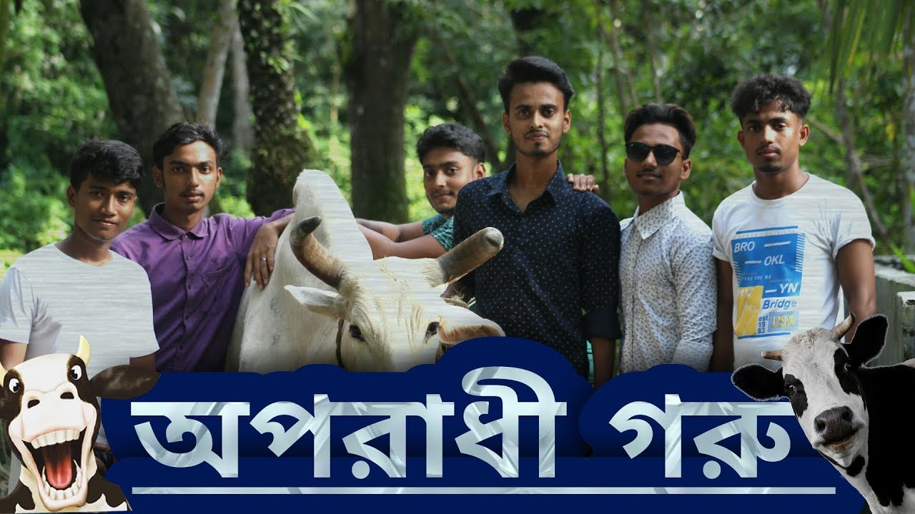 অপরাধী গরু ||| Oporadi Goru ||| Eid-ul Adha Special ||| Bangla Funny ...