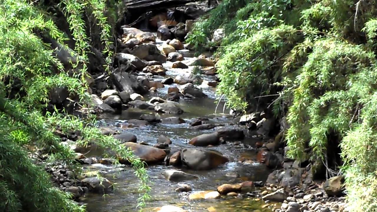 Reserva El Delirio - Cuenca del rio Fucha - Páramo de Cruz Verde - YouTube