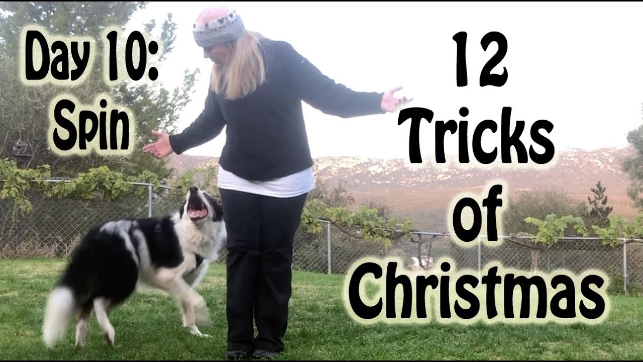 12 Tricks of Christmas - Day 10: Spin - YouTube