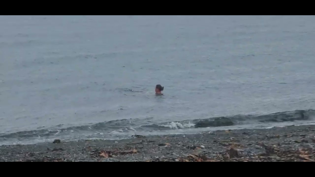 Alaska swimming - YouTube