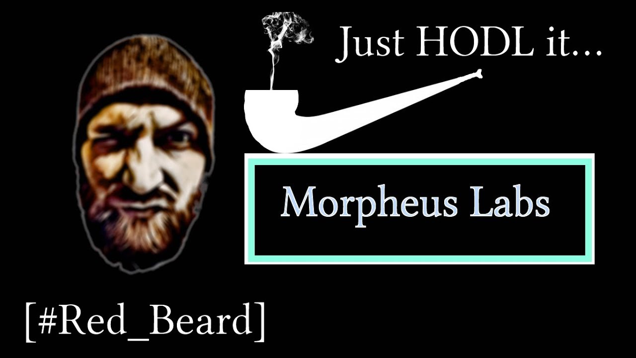 Обзор Morpheus Labs от [#Red_Beard] - YouTube