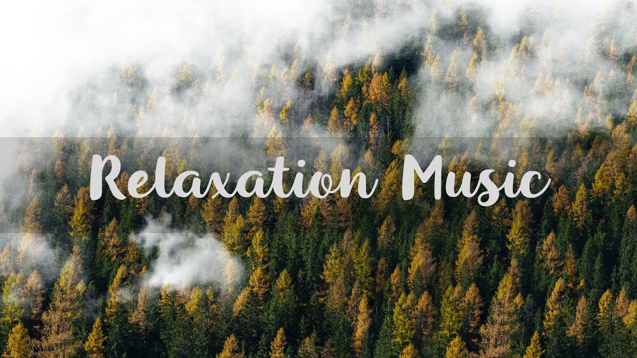 Deep Sleep Relaxation Music 💤 Sleep Music For Deep Sleep 🌙 Easy Sleep ...