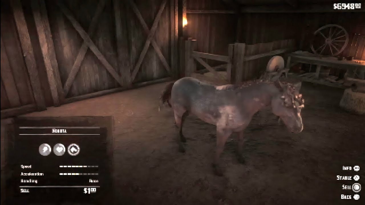 Red Dead Redemption 2 Story - The Murfee Brood Nokota Blue Roan - YouTube