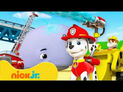Patrulha Canina | 60 Minutos de Aventuras ao Ar Livre da Patrulha Canina! 🌲🐾 c/ Rubble & Marshall