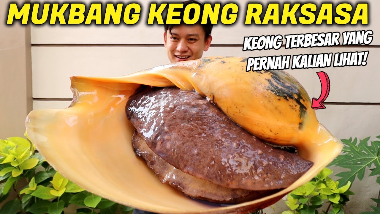 MASAK KEONG RAKSASA! UMUR 100 TAHUN, DAGING ALOT KAYAK BAN MOBIL. - YouTube