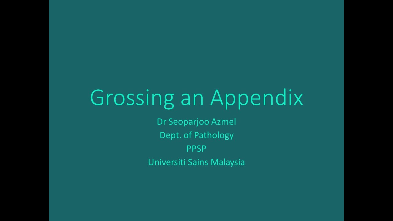 Grossing an appendix - YouTube