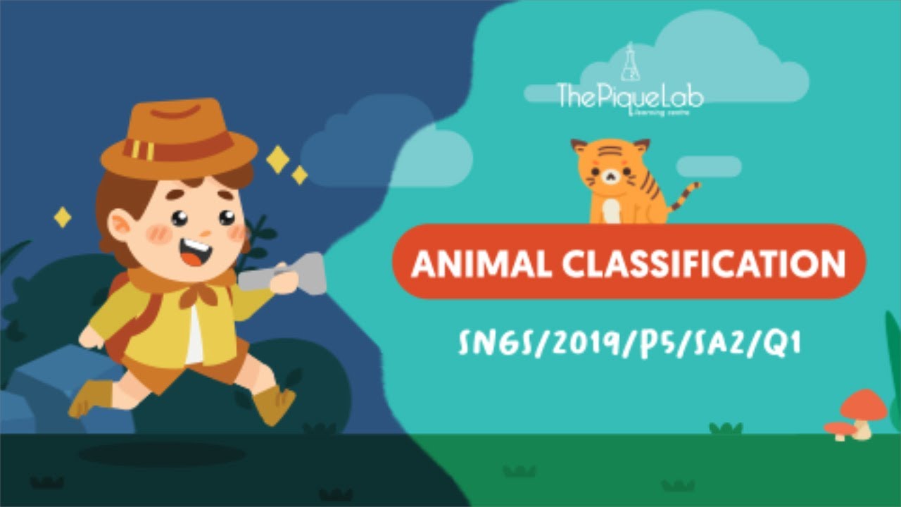EXAMINATION PAPER SERIES | 2019 SNGS P5 SA2 | Question 1 | Animal ...