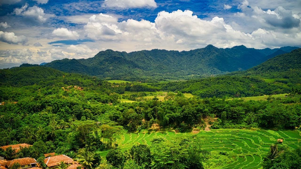 AERIAL SHOT OF CROPLAND - YouTube