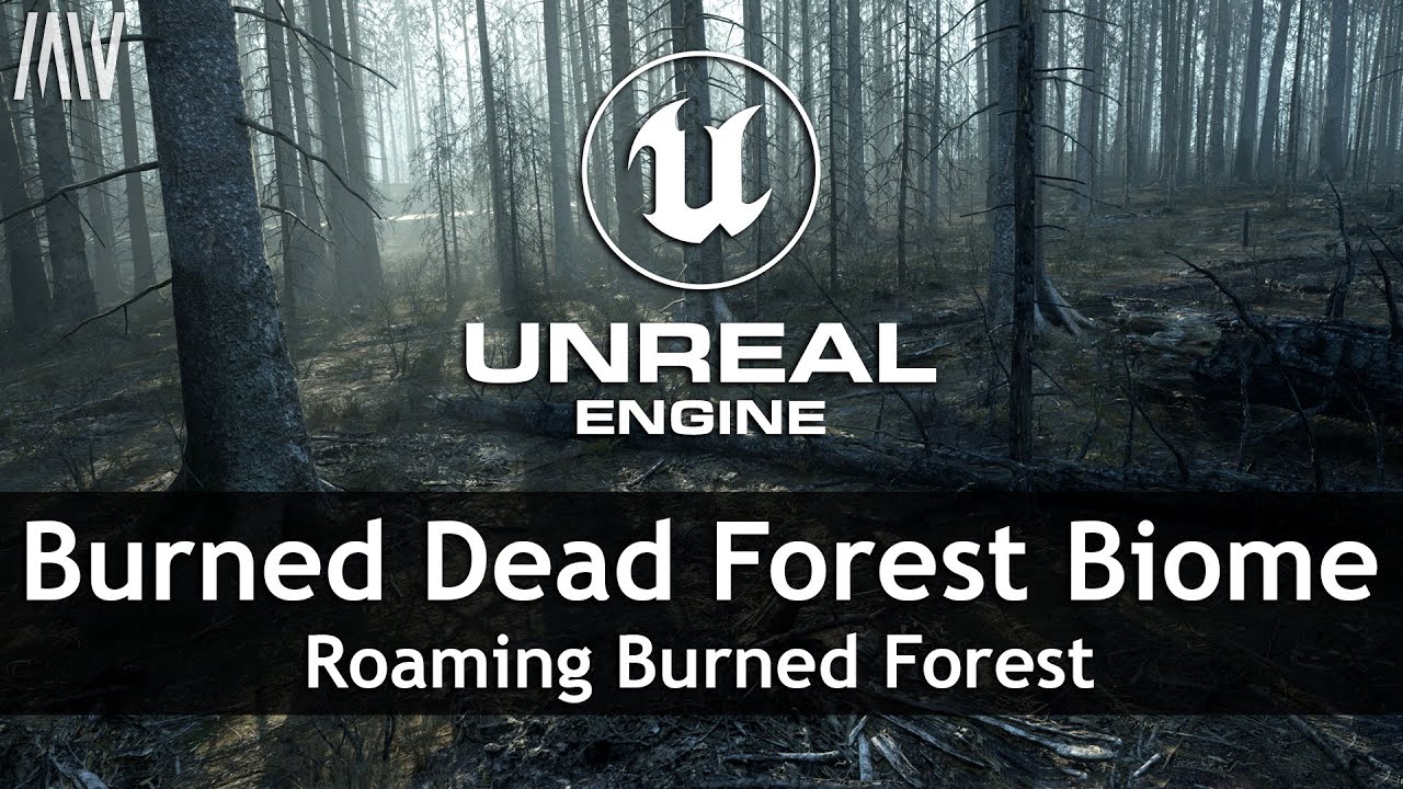 MAWI Burned Dead Forest | Unreal Engine 5.2 | Roaming The Burned Forest ...