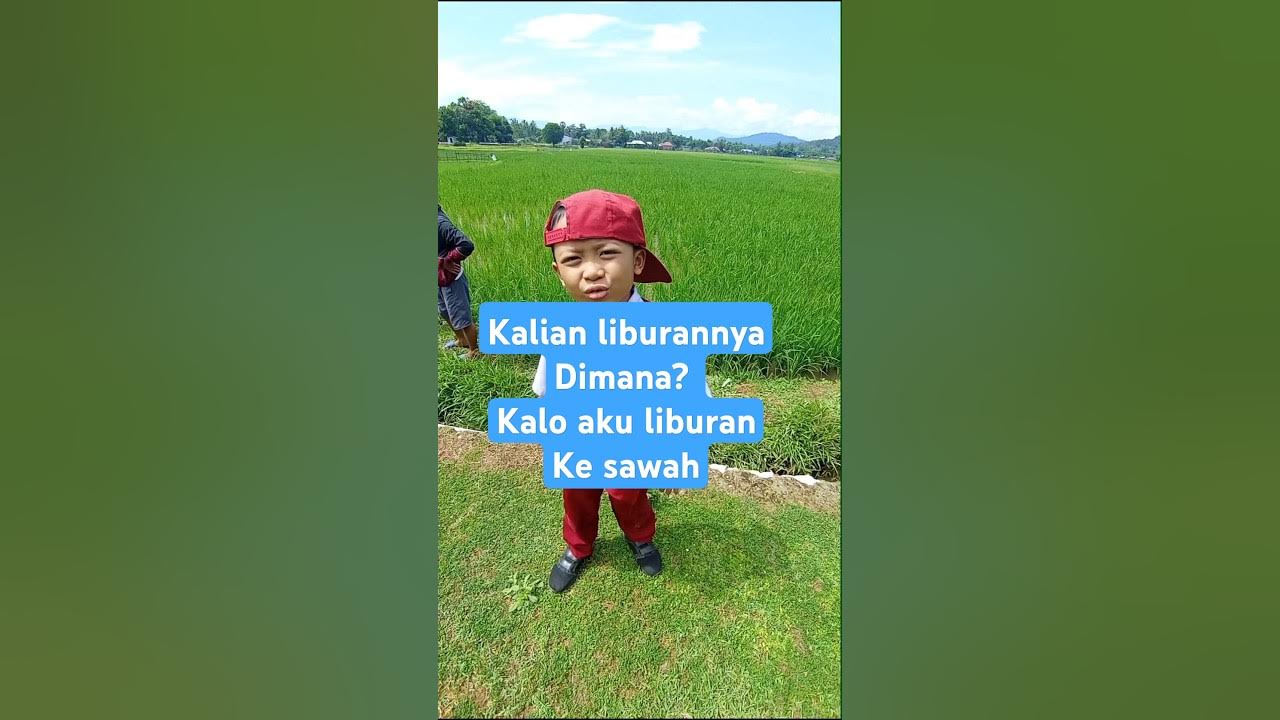 jalan jalan ke sawah #sawah #sawahpedesaan - YouTube