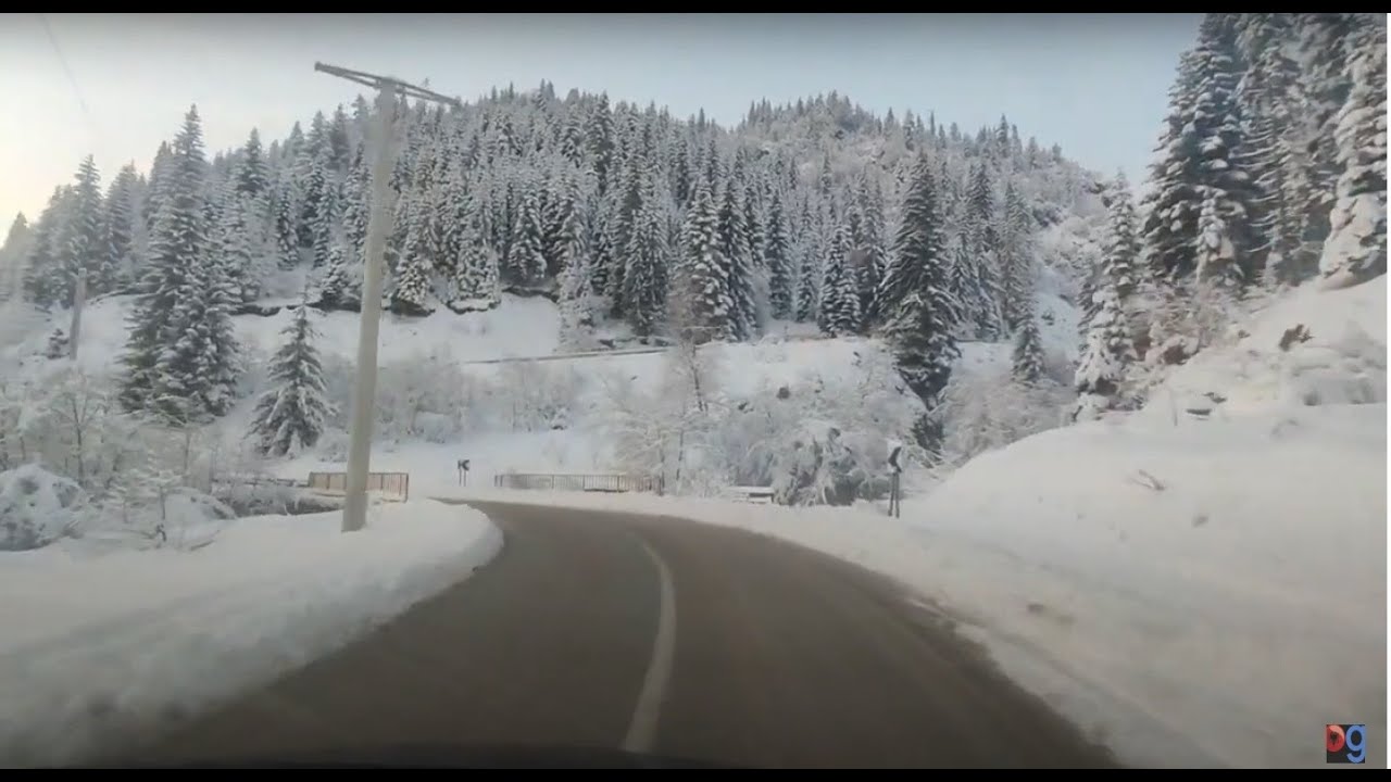Borë dhe pyje halorë. Ndërthurja e tyre e bën natyrën edhe më të bukur ...