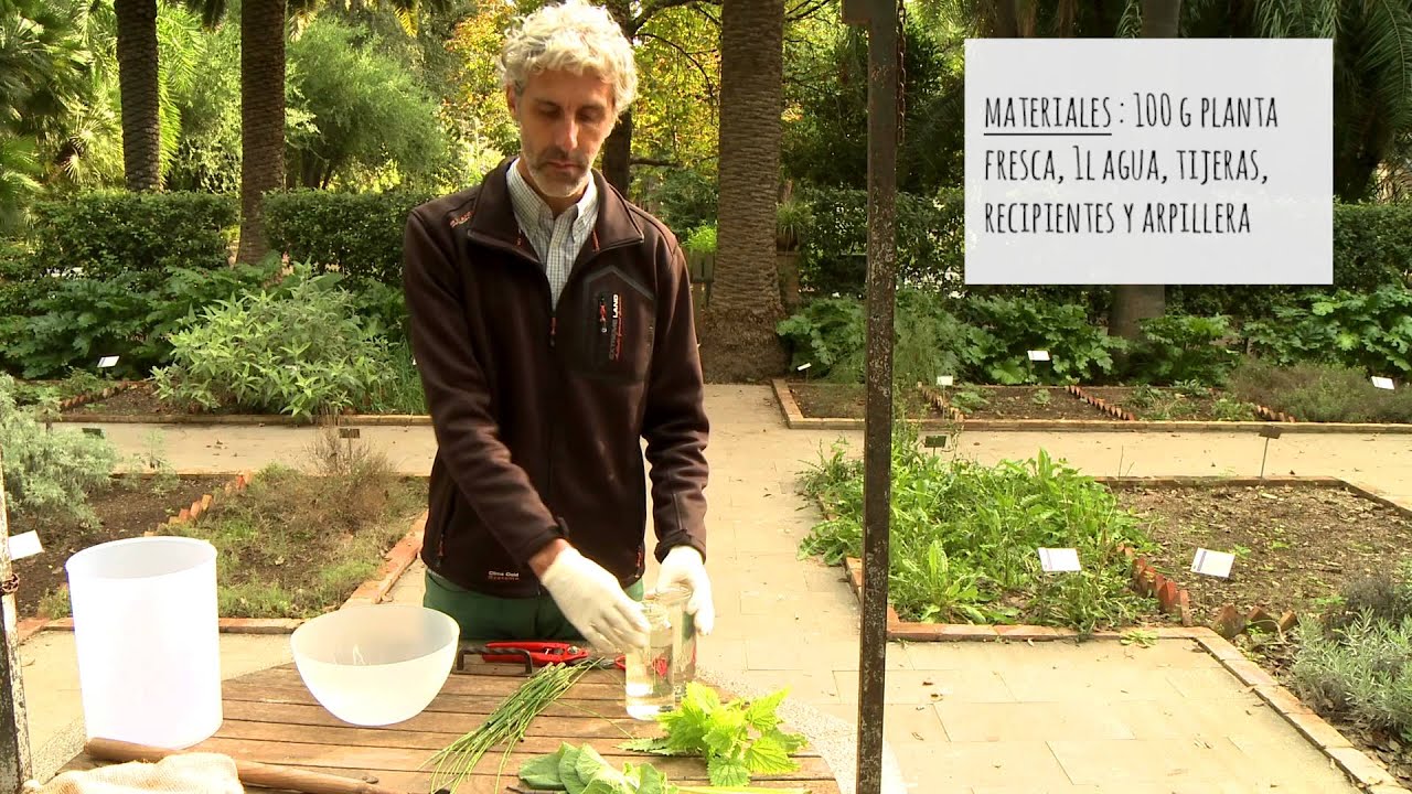 PLANTAS PARA CURAR PLANTAS - YouTube