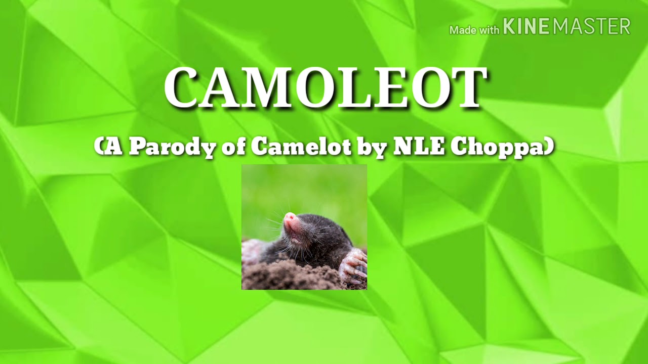 Camoleot - A Parody of Camelot by NLE Choppa - YouTube
