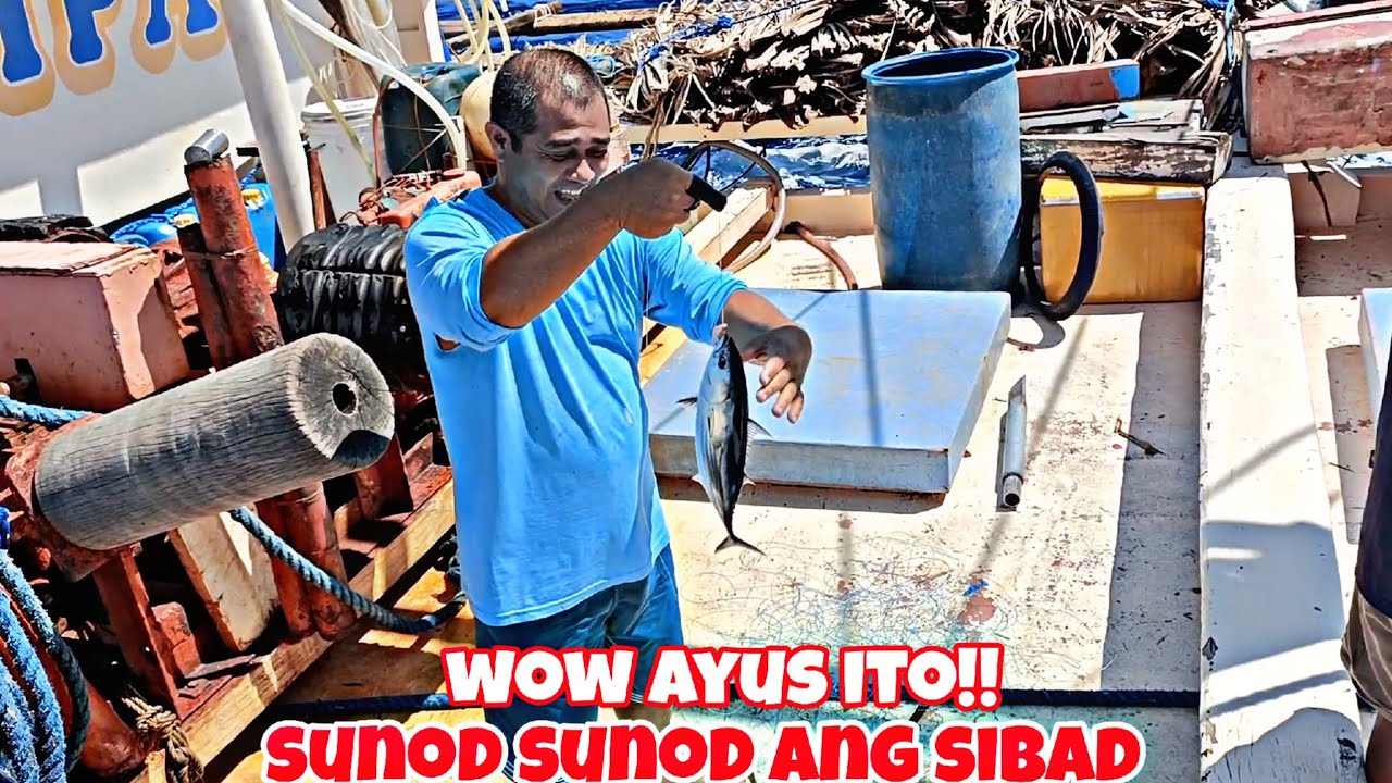 Sibad Sibad ang isda sa pacific ocean - YouTube