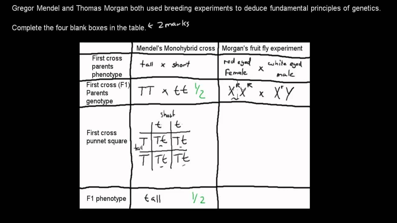Q1. HSC question (Chromosome and Inheritance chapter) - YouTube