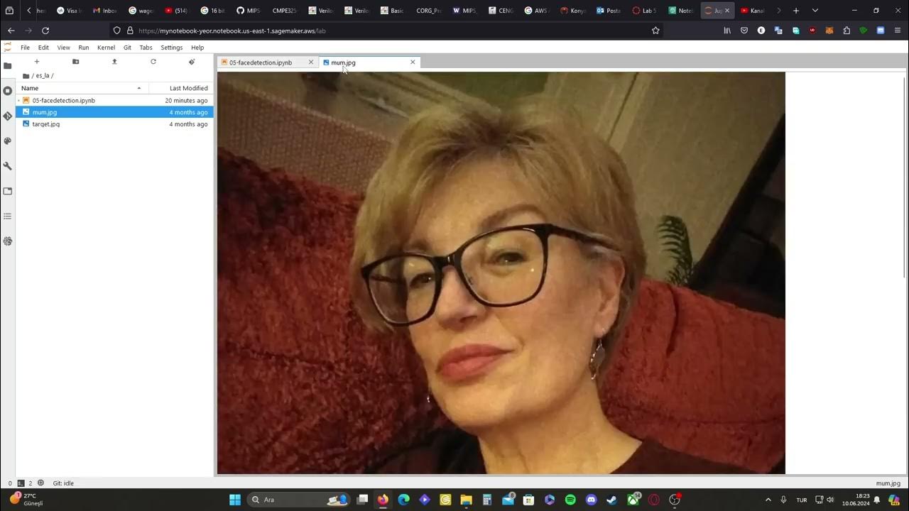 AWS Academy Machine Learning Foundations 74797 | Lab 5 | Data Science - YouTube