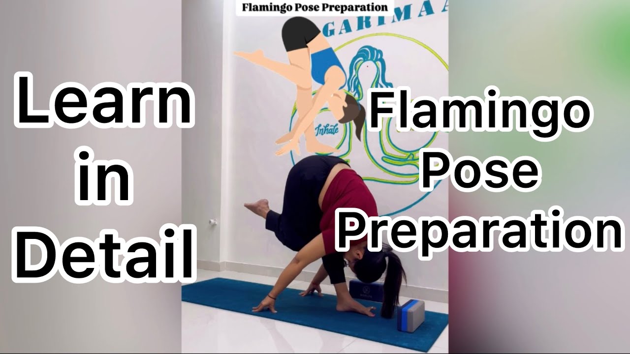 Humble Flamingo Tutorial || Humble Flamingo || Yoga for Beginners ...