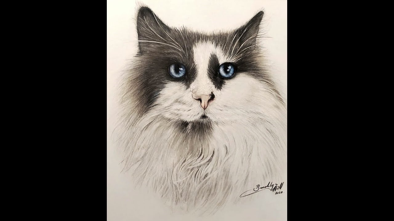How to draw blue cat eyes! - YouTube